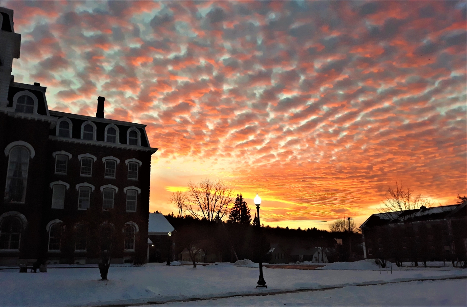 Reminder: Friday Night Reading Series - VCFA Writing and Publishing Blog